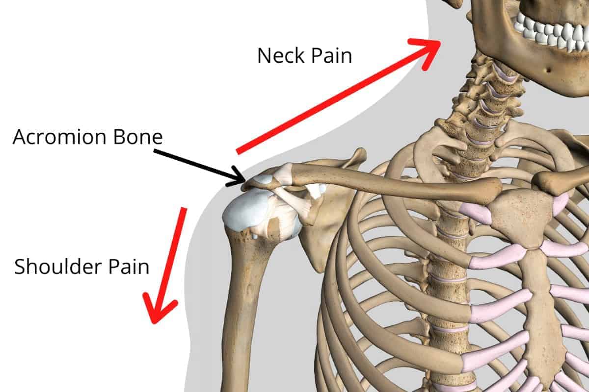Best Neck Stretches for Pain Relief | PT Time with Tim